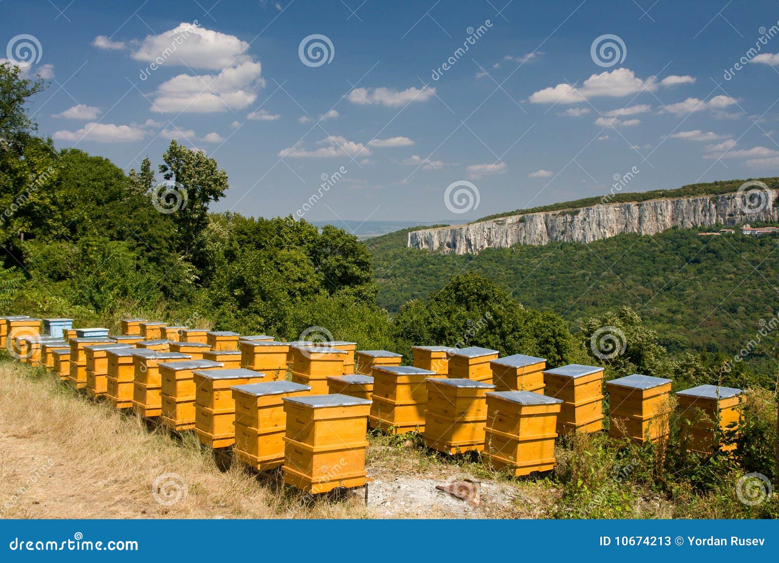 Alveari immagine stock. Immagine di apicoltura, favi - 10674213