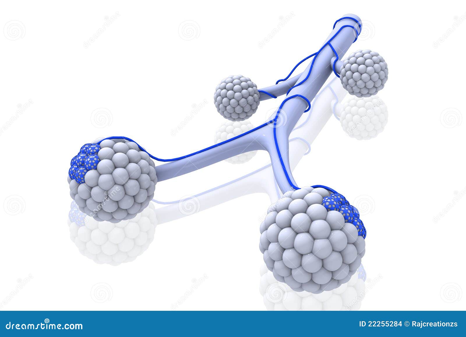 Alveoler stock illustrationer. Illustration av mänskligt - 22255284