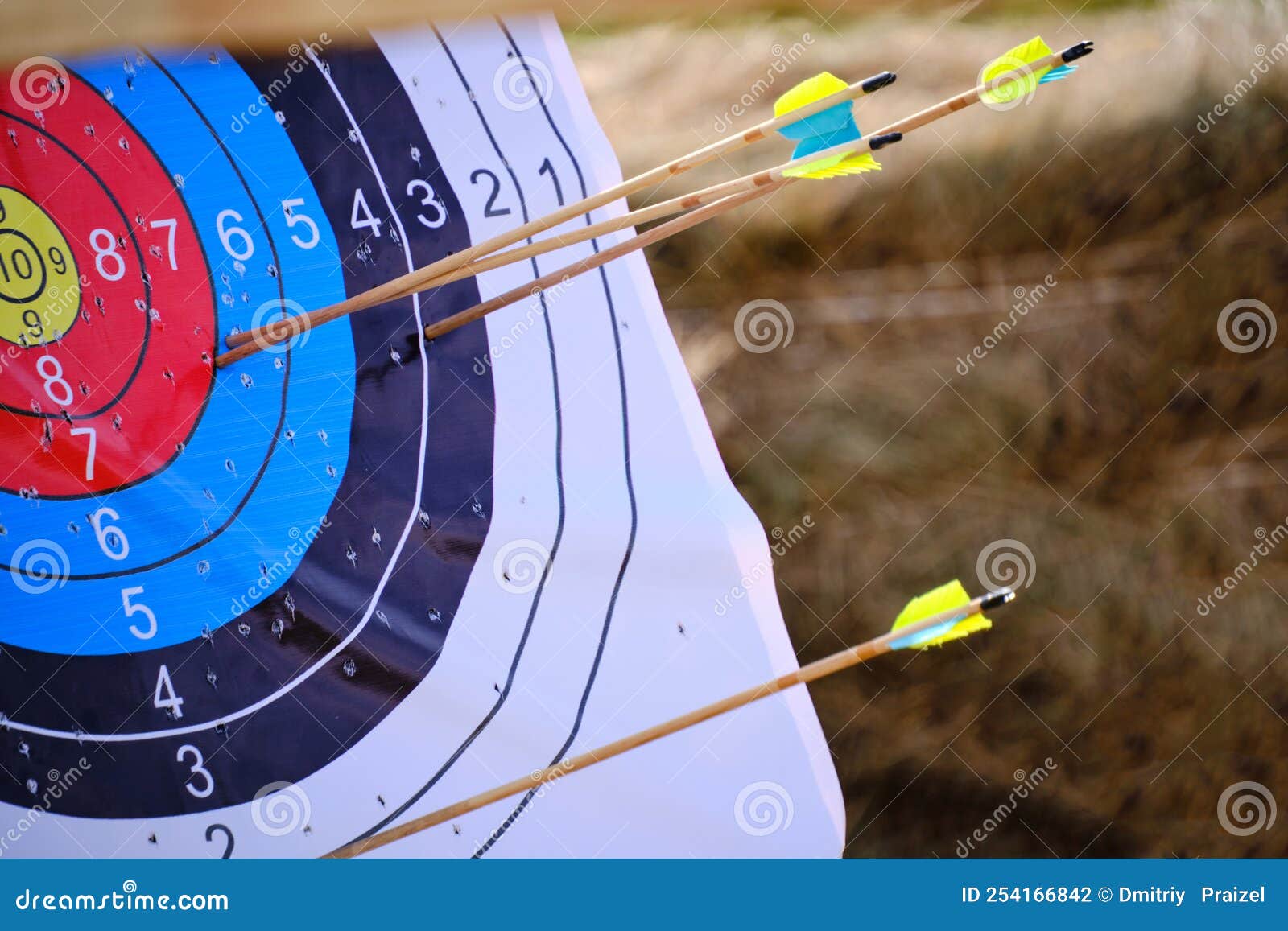 Alvos De Arquiaturas Com Setas Presas Foto de Stock - Imagem de curva ...