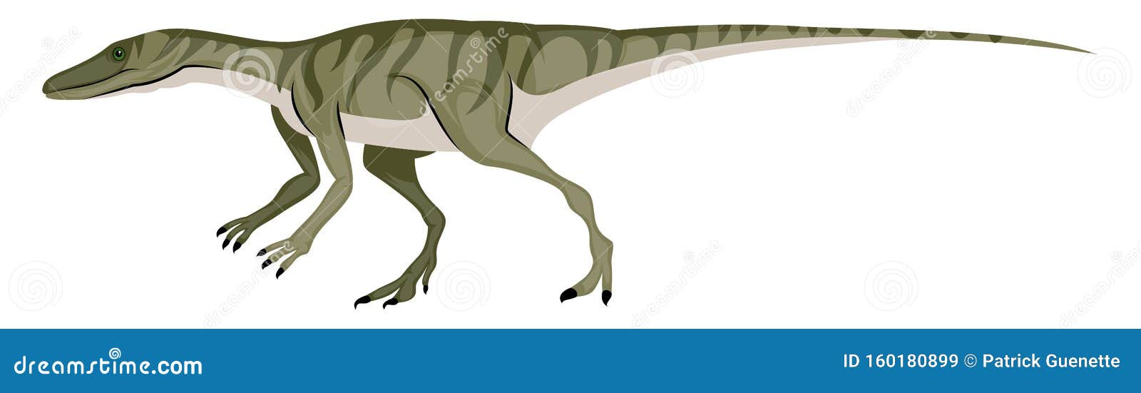 Alwalkeria, Illustration, Vector Stock Vector - Illustration of cartoon ...