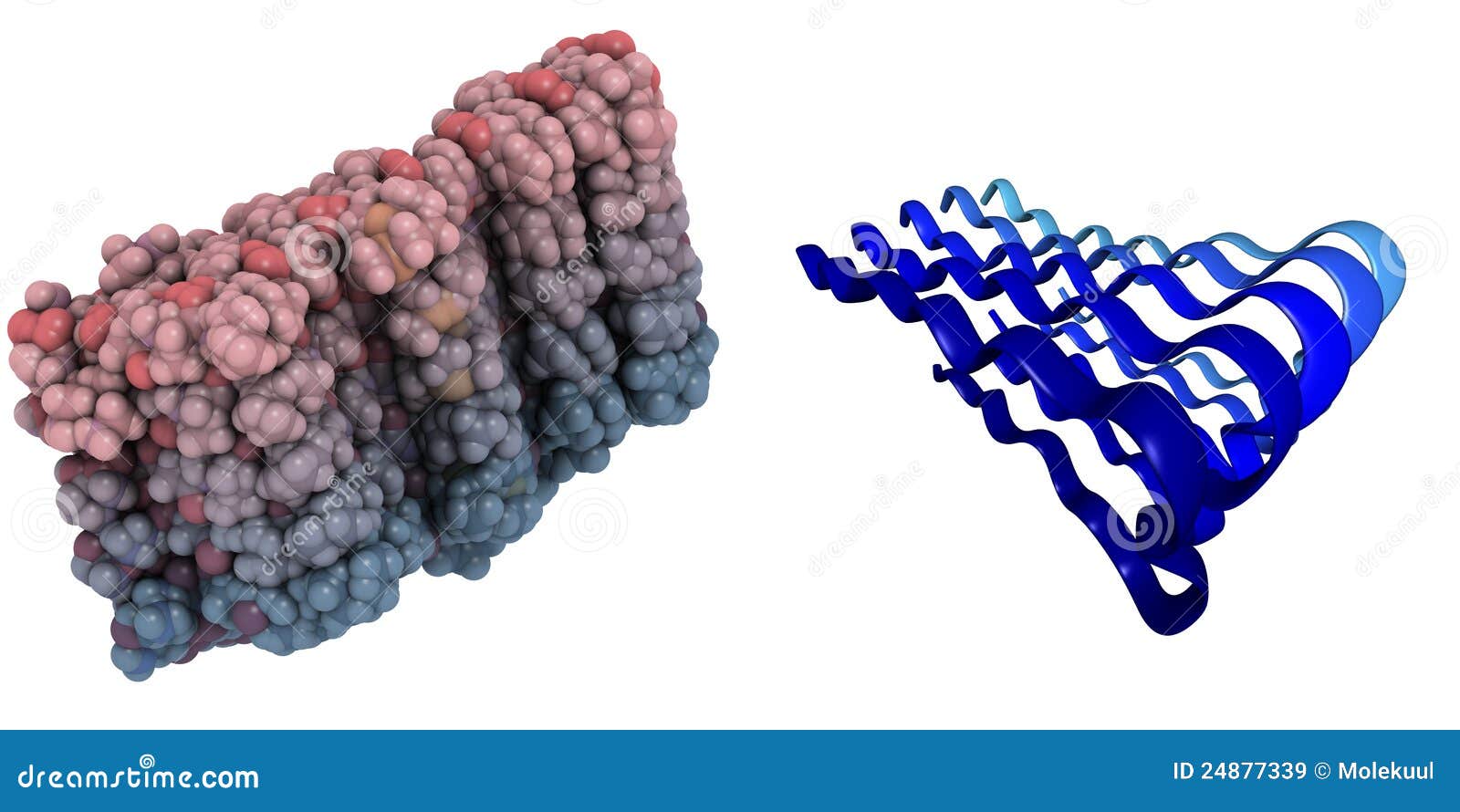 Amyloid Beta (Abeta, AB40) Fibril Structure. Fibrillar Aggregates Of ...
