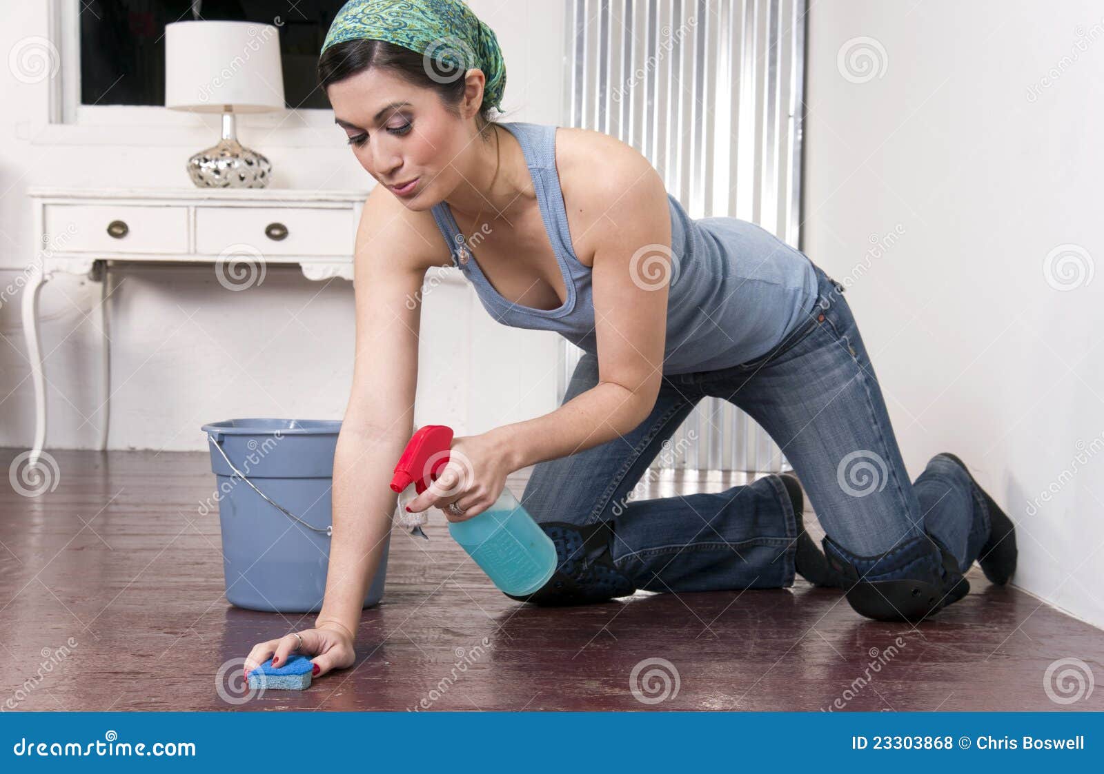 Ama de casa foto de archivo. Imagen de criada, atractivo - 23303868