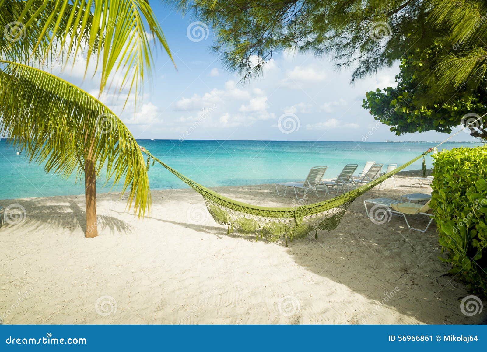 Amaca Su Una Spiaggia Caraibica Immagine Stock - Immagine di cayman ...