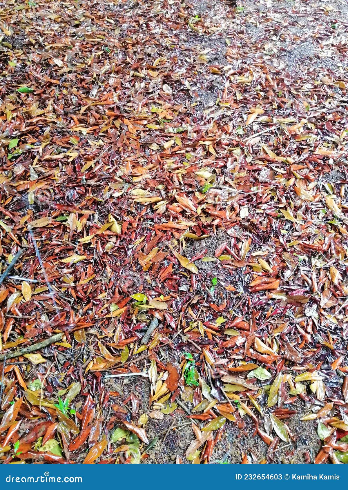 Amaizing View Of Malay Architecture At Anjung Floria Putrajaya. Palace ...