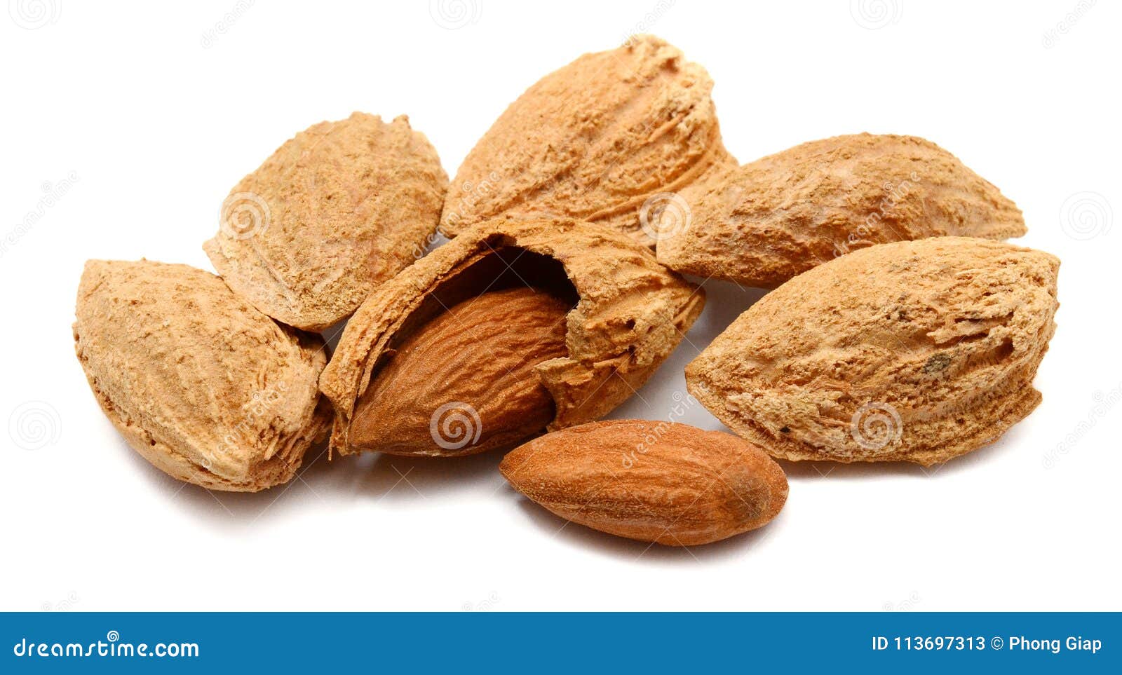 Amandel stock afbeelding. Image of proteïne, schelp - 113697313