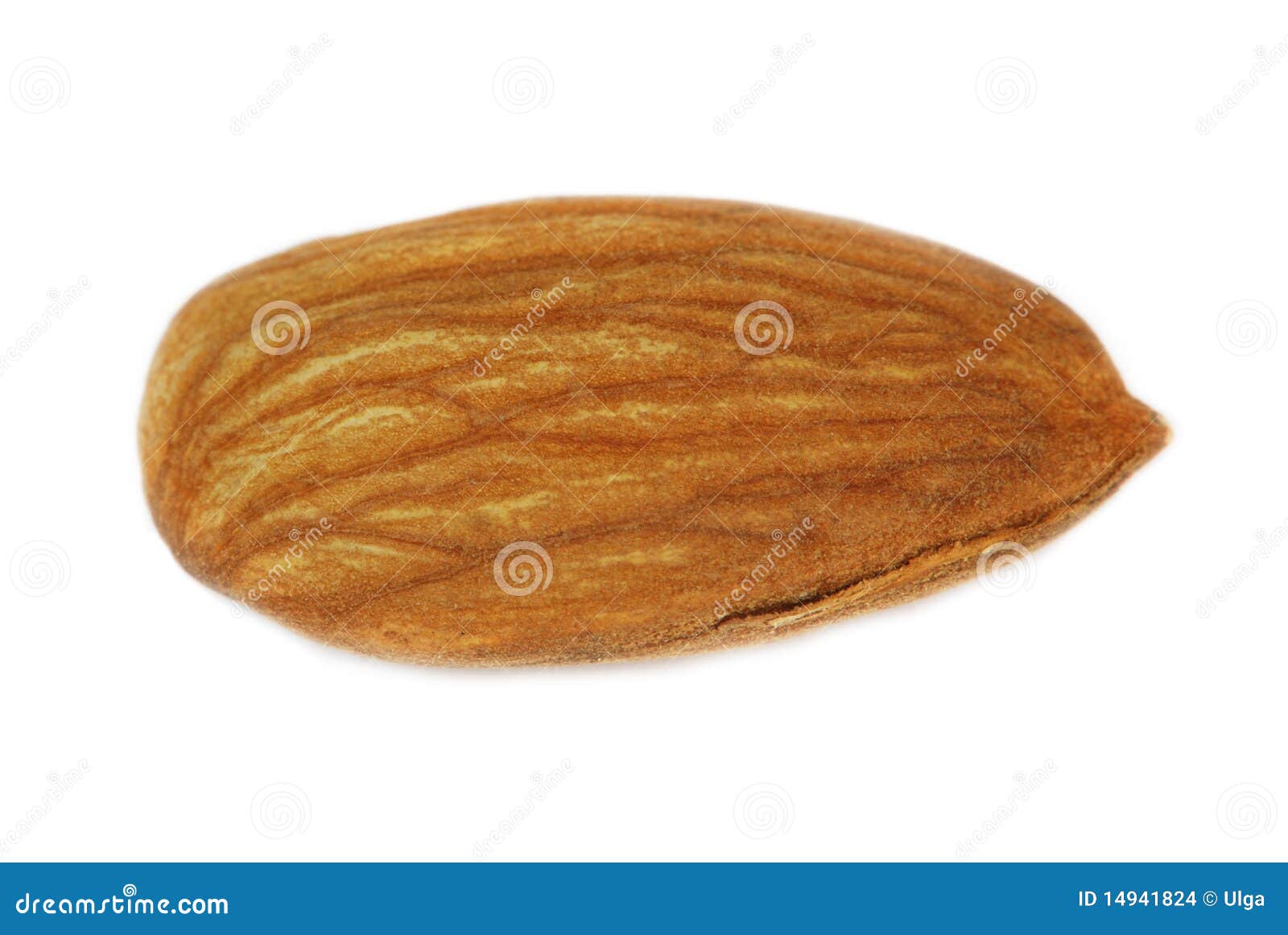 Amandel stock foto. Image of gezond, macro, voeding, noot - 14941824