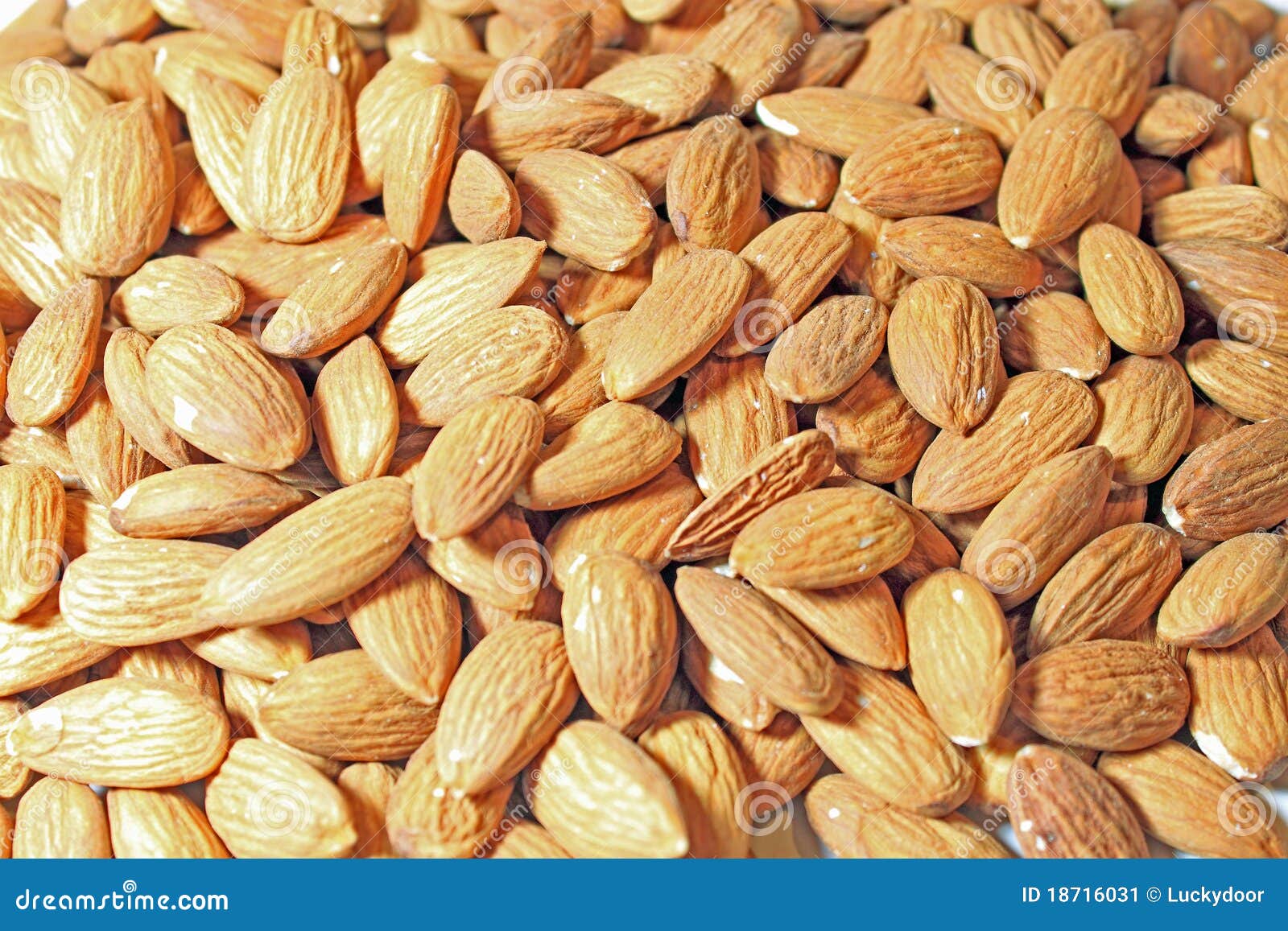 Amandel stock afbeelding. Image of boom, gezondheid, droog - 18716031