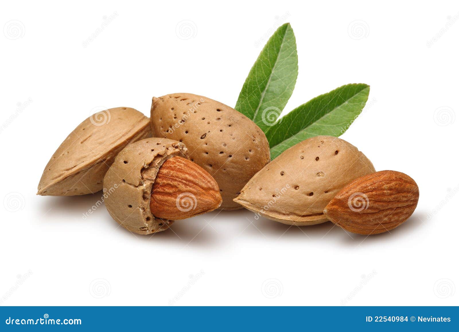 Amandel stock foto. Image of achtergrond, gezond, voeding - 22540984