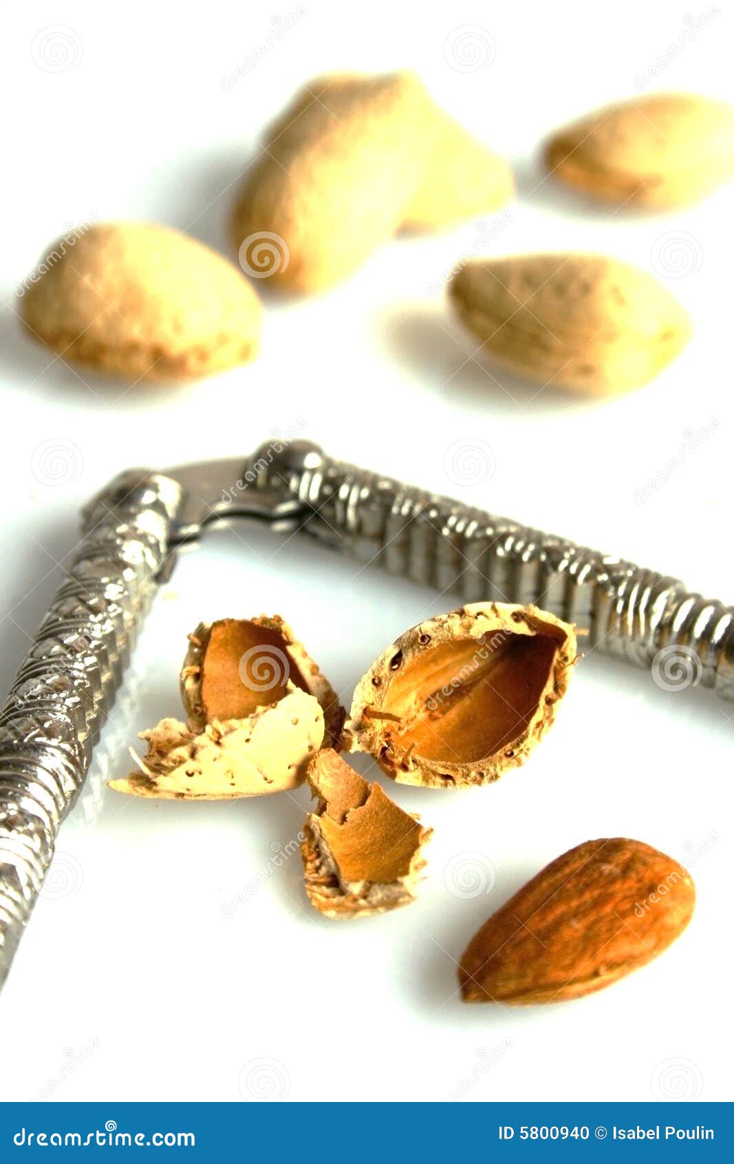 Amandel stock foto. Image of voedsel, nuttig, levensmiddel - 5800940