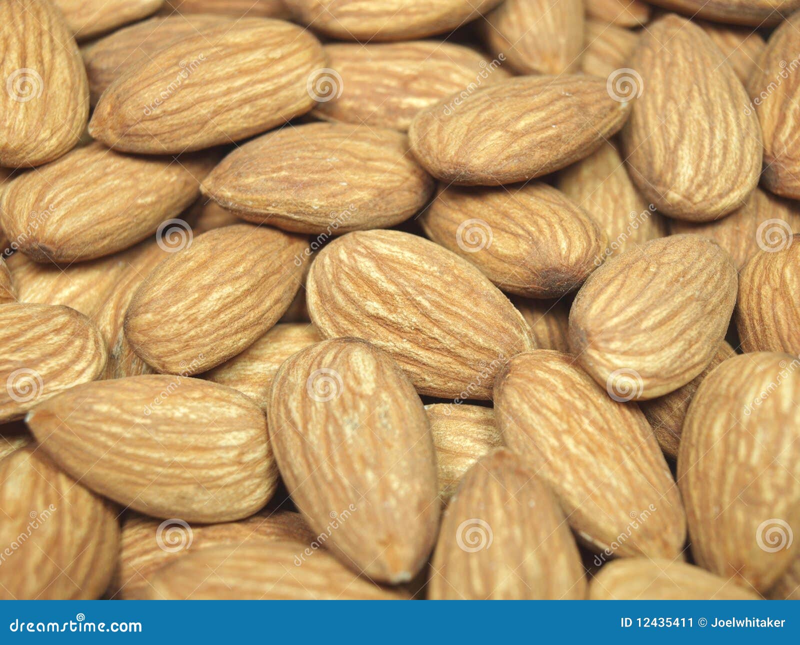 Amandelen stock afbeelding. Image of kraken, amandelen - 12435411