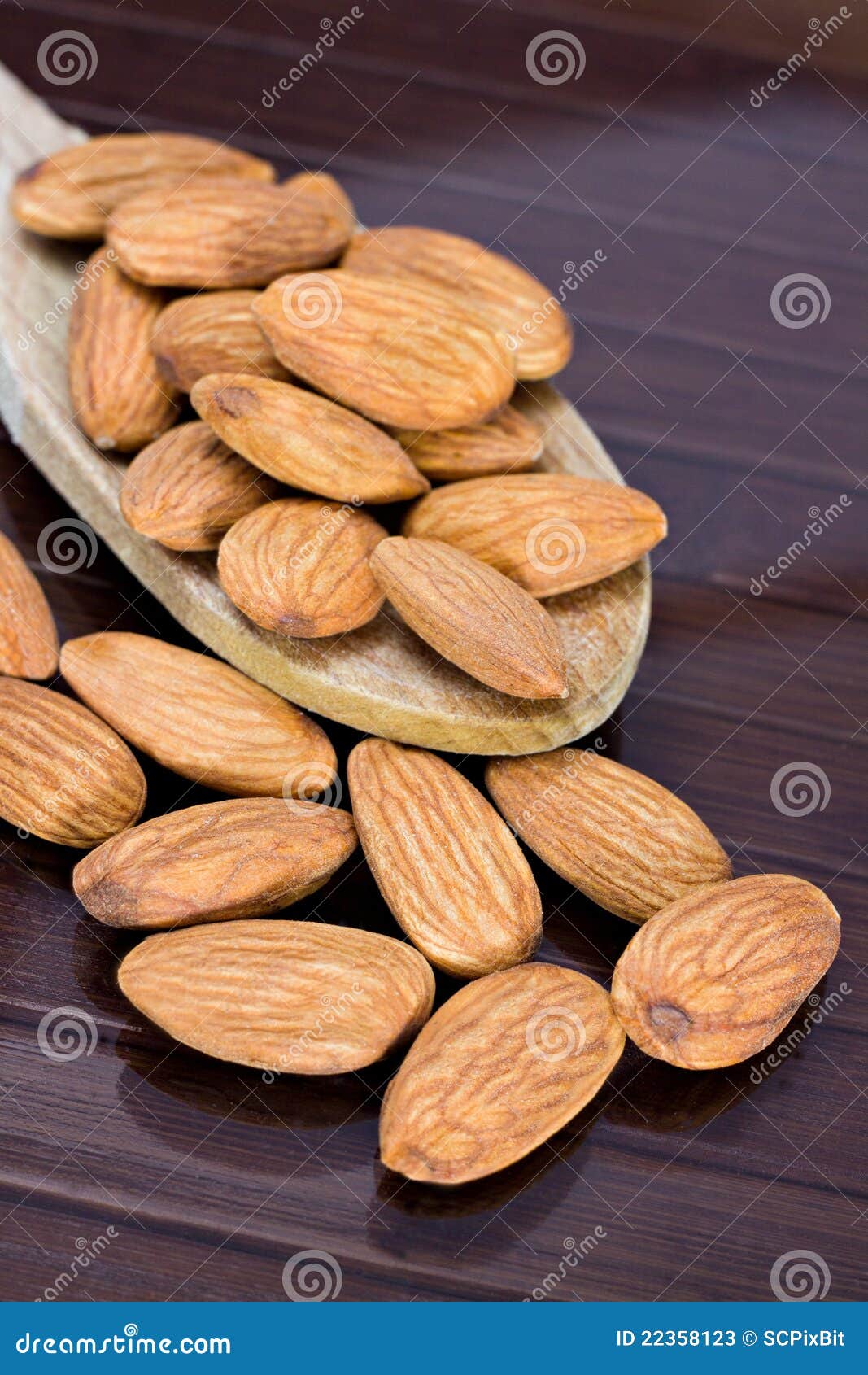 Amandelen stock afbeelding. Image of water, noten, amandel - 22358123