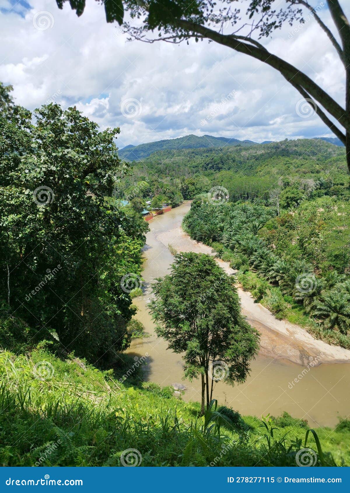Amandit River in Meratus Geopark Stock Image - Image of green, geopark ...