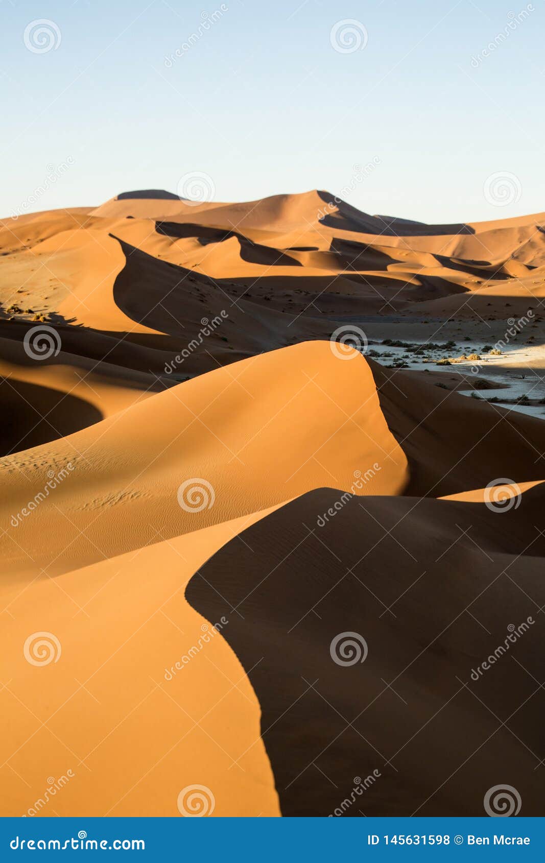 Amanecer Sobre Las Dunas Rojas De Sossusvlei. Foto de archivo - Imagen ...