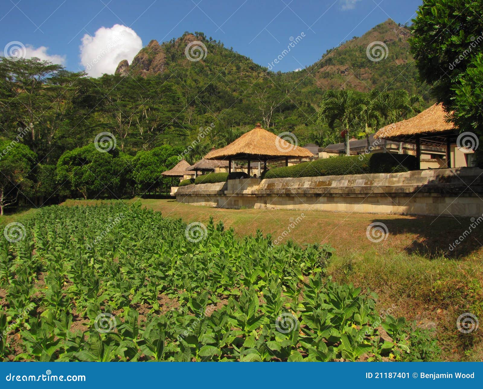 Amanwana Resort Stock Photos - Free & Royalty-Free Stock Photos from ...