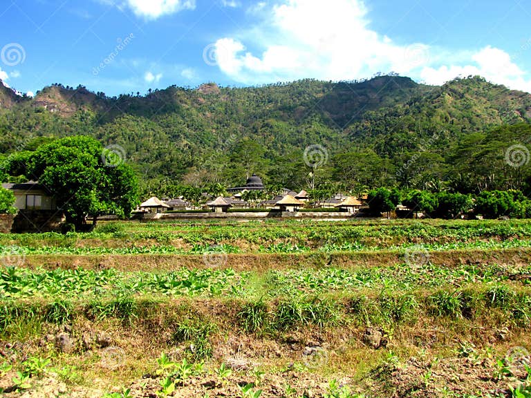 Amanwana Resort stock image. Image of resort, rainforest - 21439741