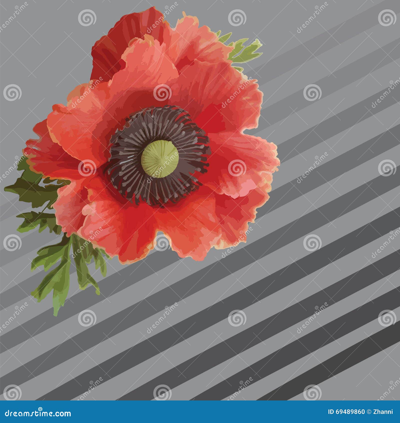 Amapola ilustración del vector. Ilustración de planta - 69489860