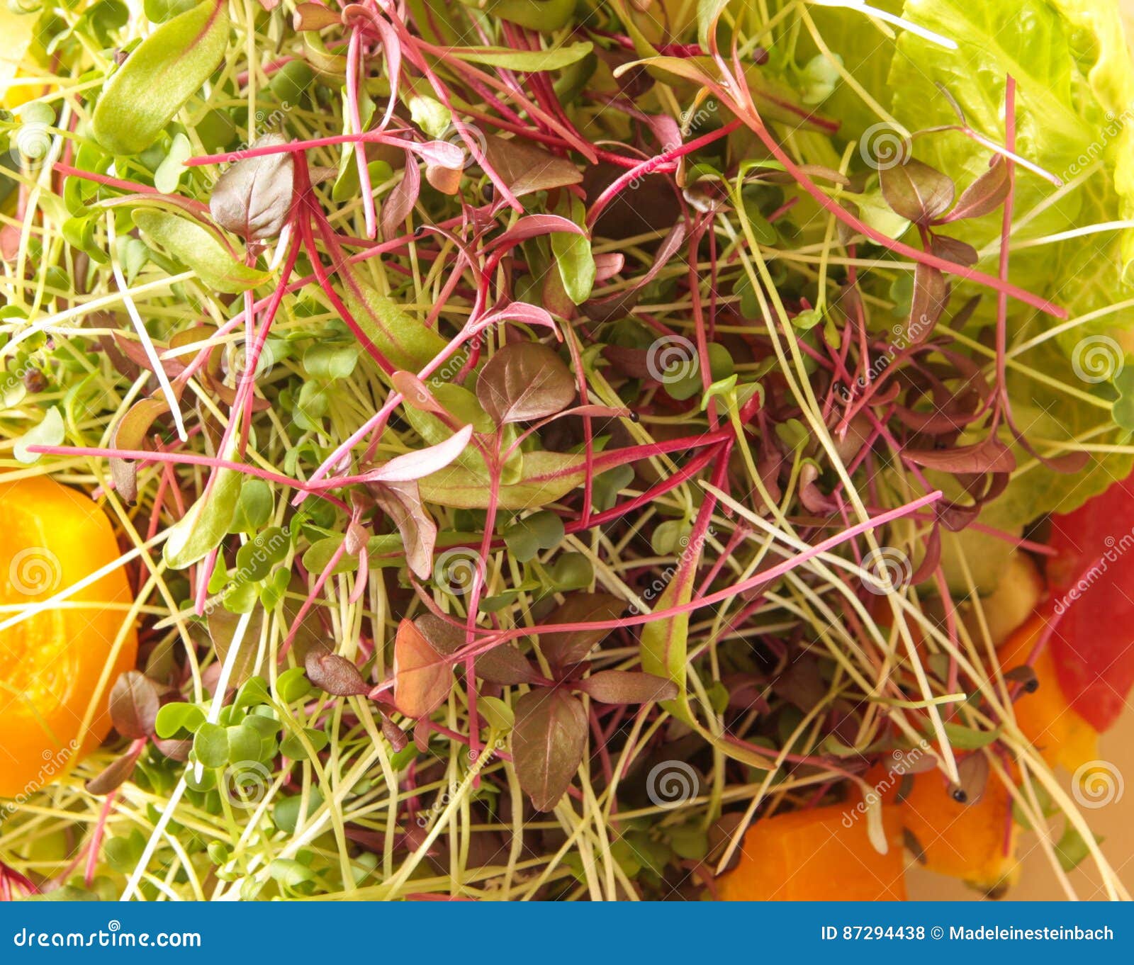 Beet Sprouting Stock Photos - Free & Royalty-Free Stock Photos from ...