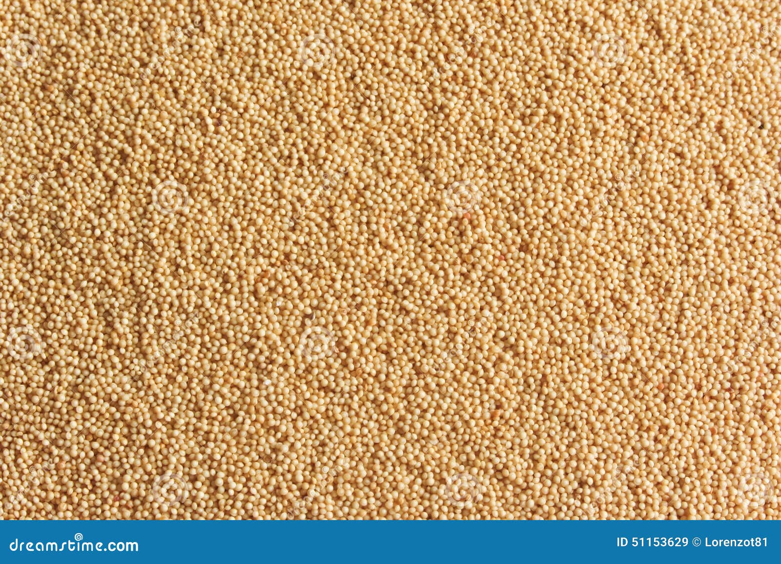 Amaranth stock image. Image of middle, grain, food, ingredient - 51153629