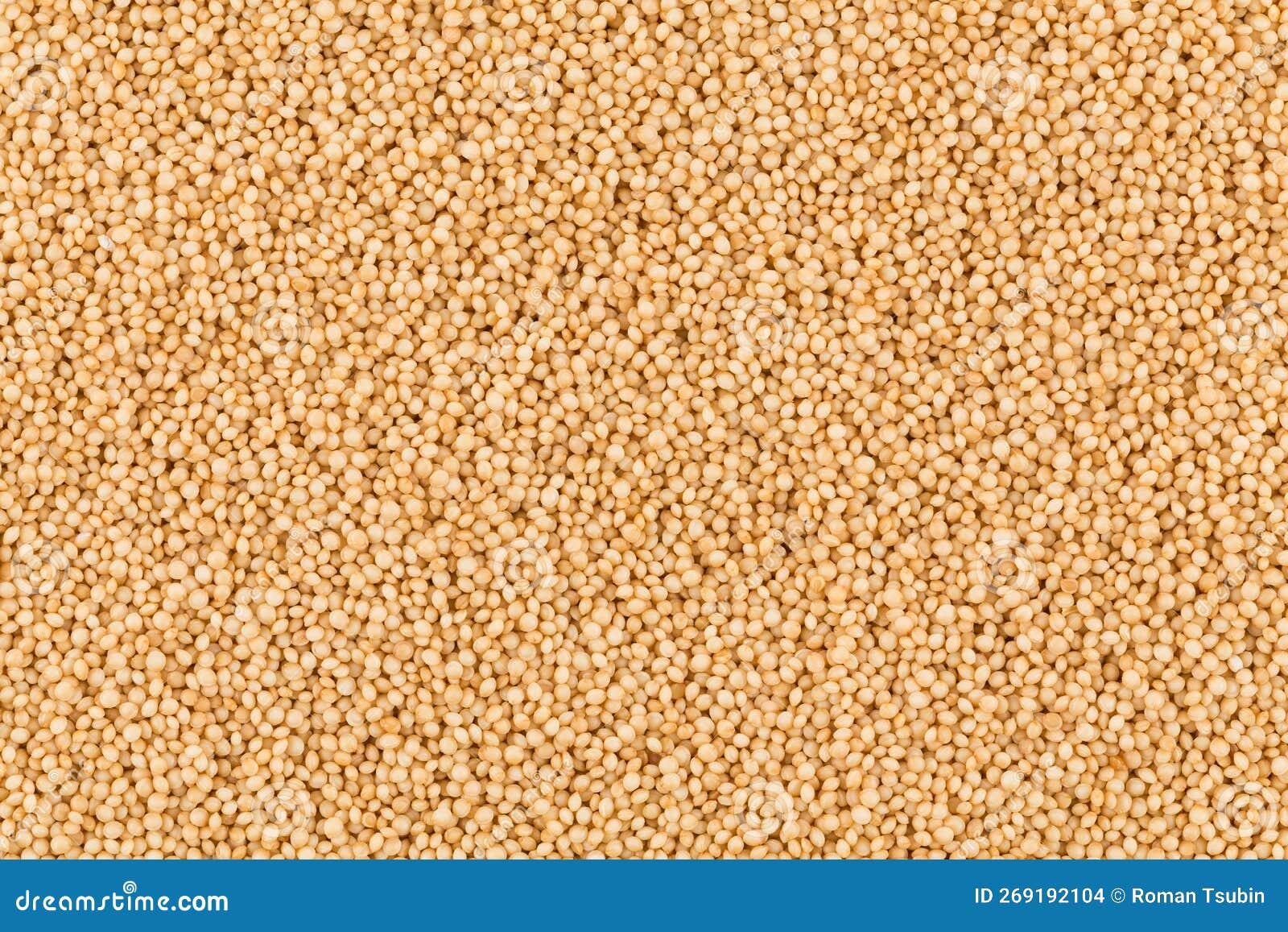 Amaranth grain closeup stock photo. Image of food, fresh - 269192104