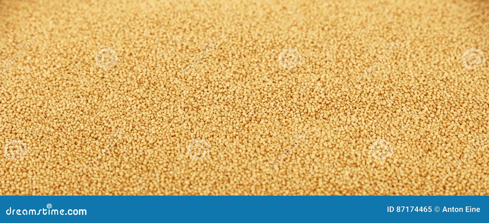 Grain Seeds Texture Royalty-Free Stock Photo | CartoonDealer.com #209695989