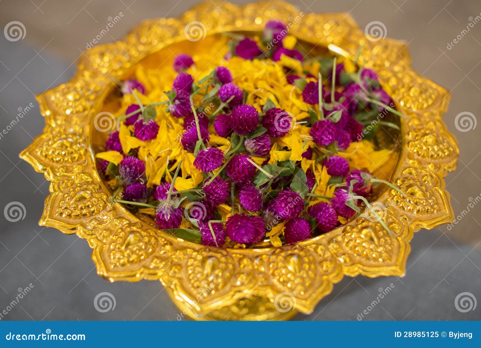 Amaranth and Mary gold stock image. Image of blooming - 28985125