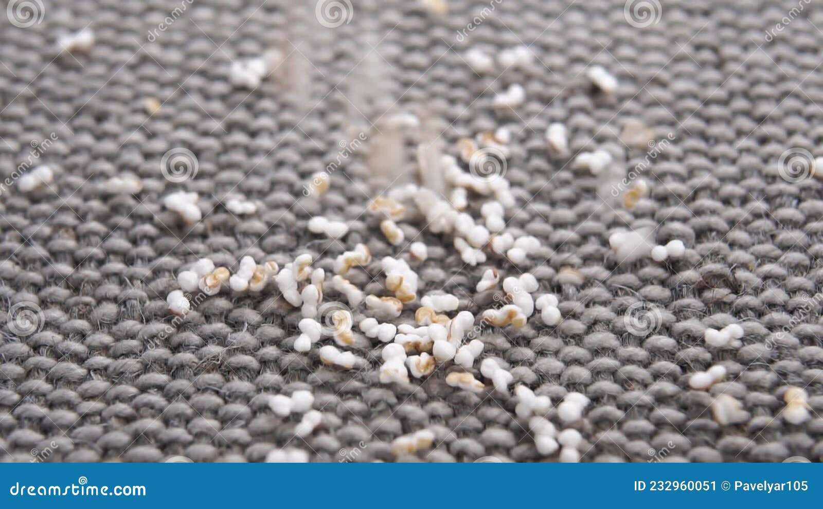 Amaranth Popping, Puffed Grains Falling on a Rustic Rough Jute Surface ...