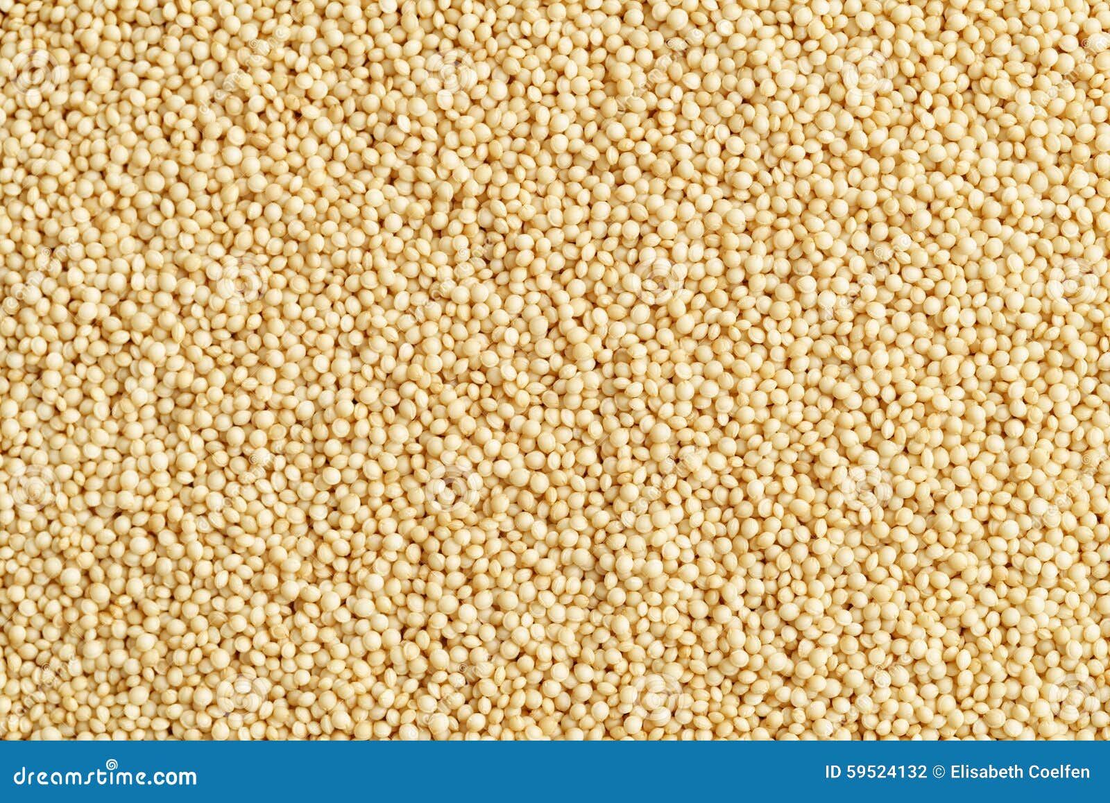 Amaranth seeds stock photo. Image of healthy, grain, food - 59524132