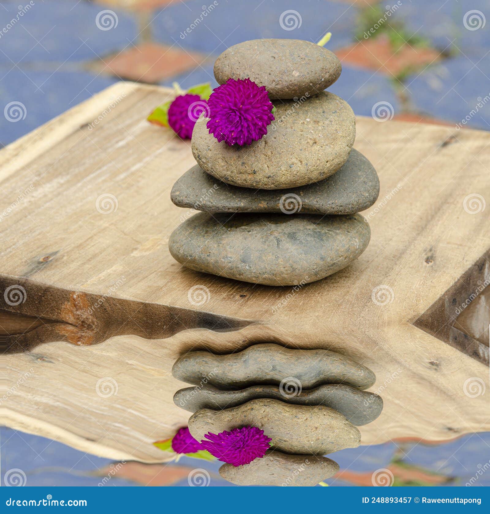 Amaranth on the spa stone stock image. Image of meditation - 248893457