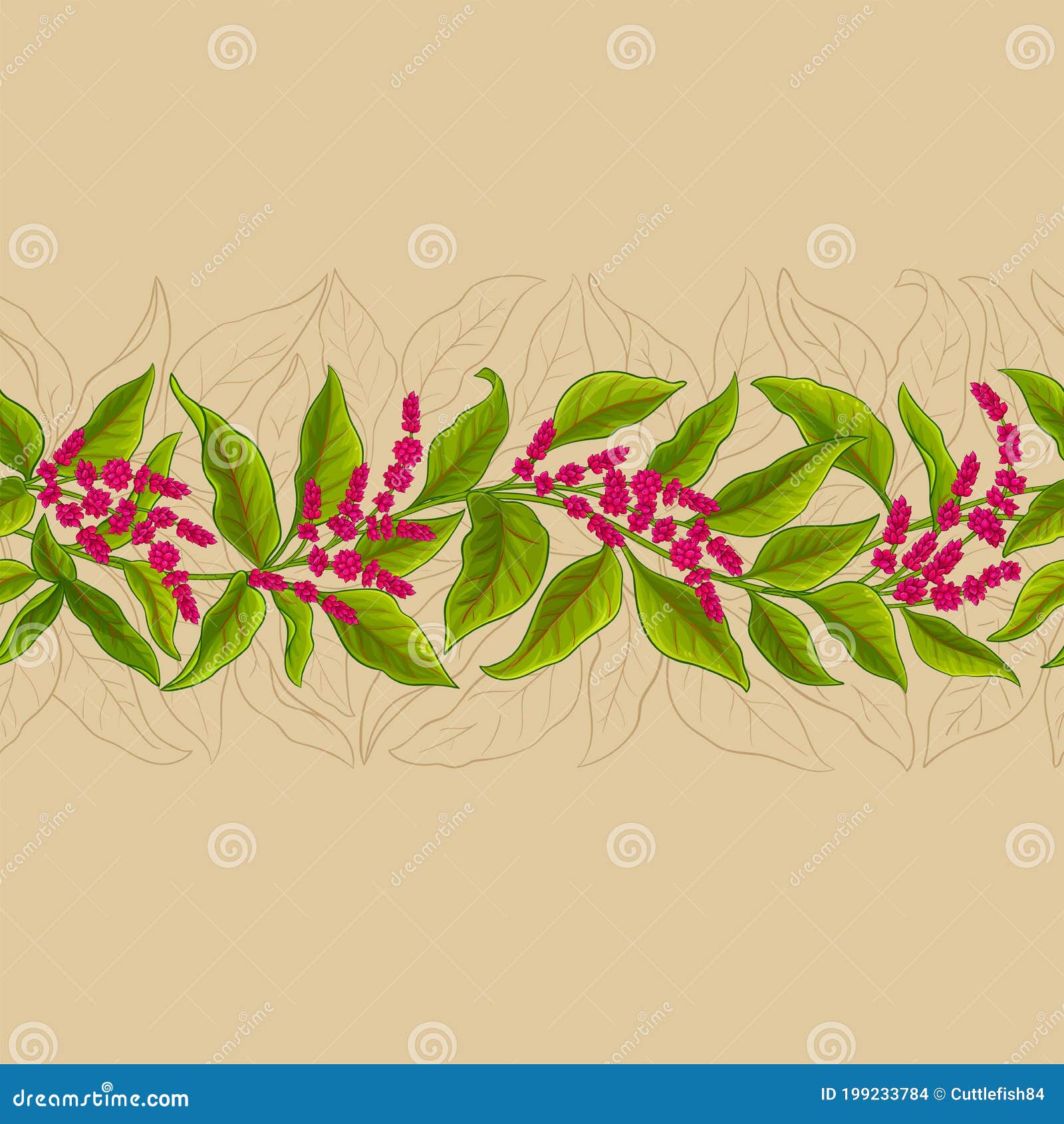 Amaranth Vector Frame | CartoonDealer.com #202265598