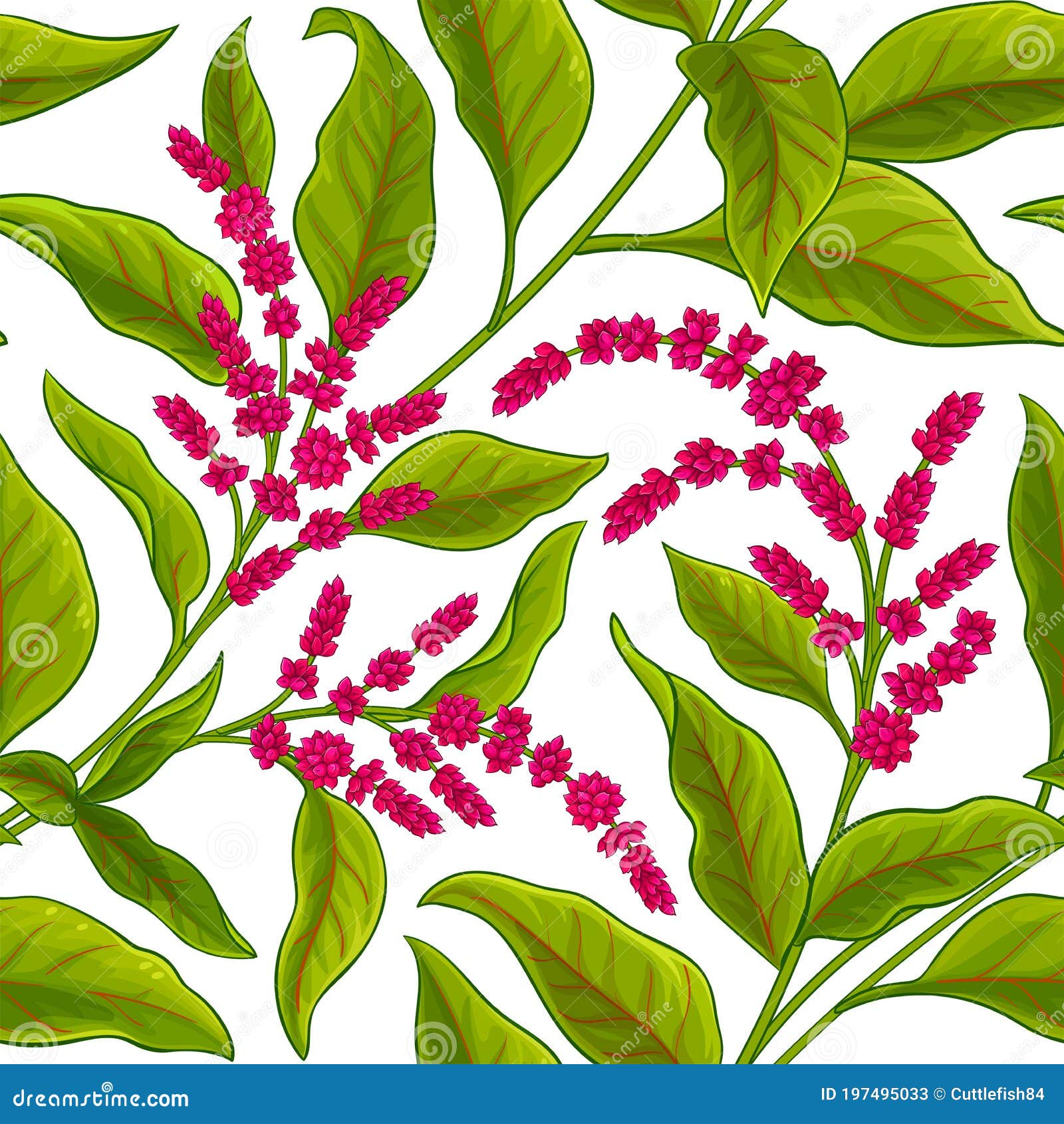 Amaranth vector pattern stock vector. Illustration of cereal - 197495033