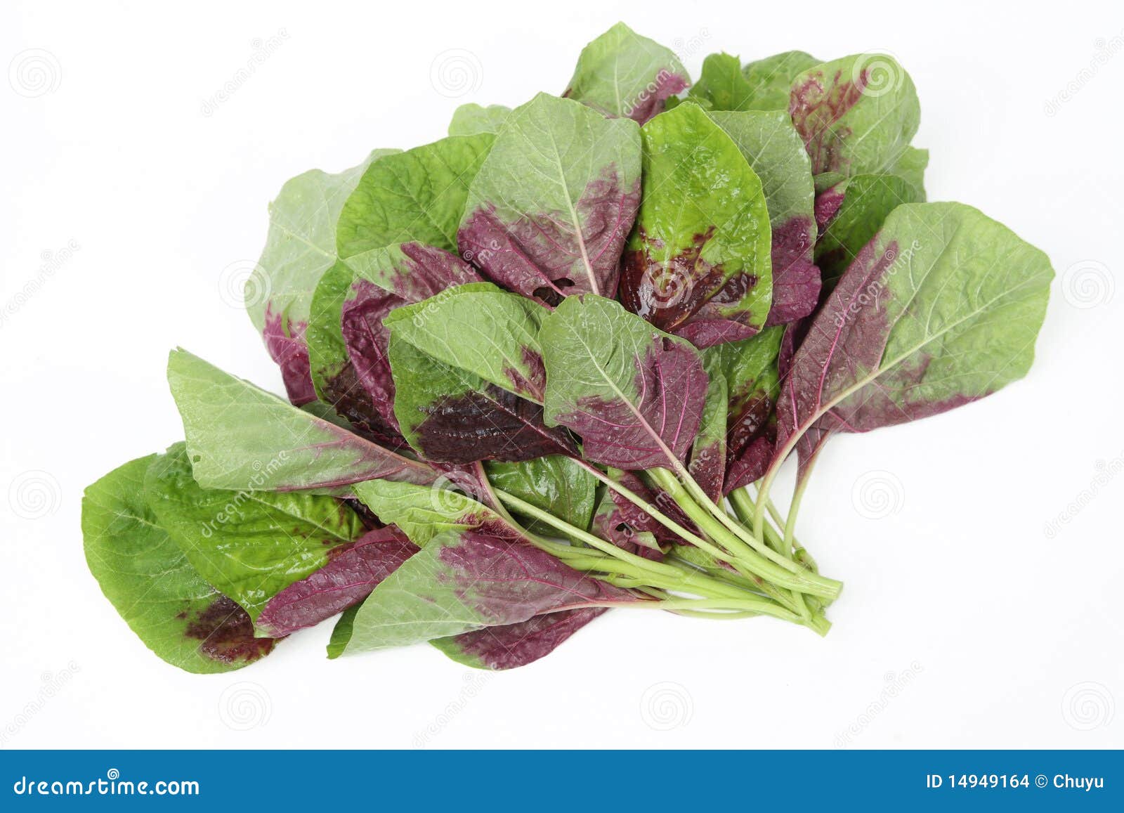 Amaranth Vegetable Stock Images - Image: 14949164