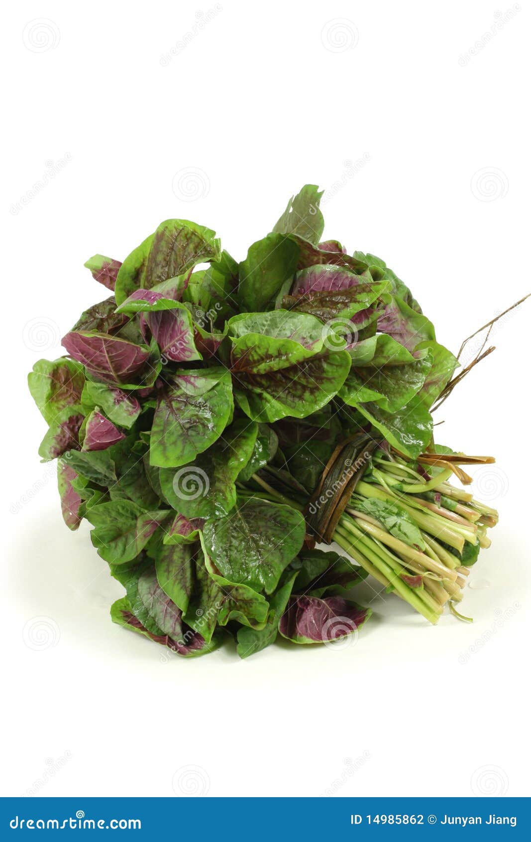 Amaranth vegetable stock photo. Image of healthy, eating - 14985862