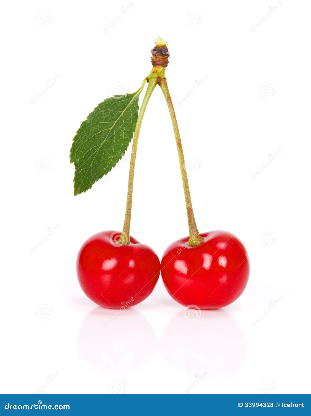 Amarena fotografia stock. Immagine di saporito, squisito - 33994328