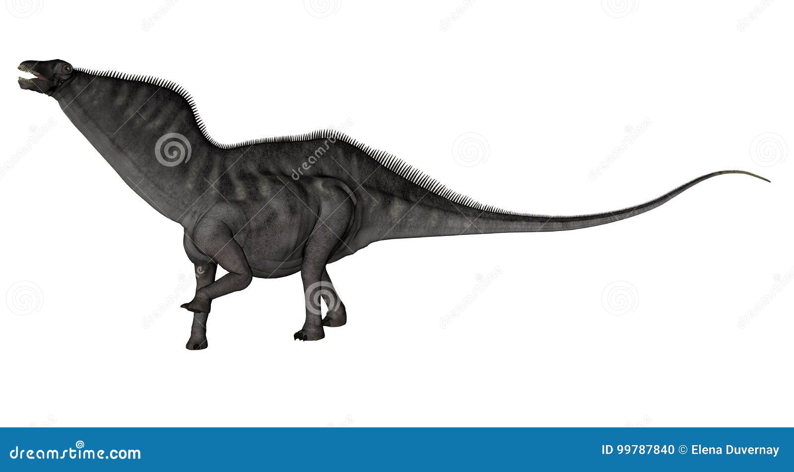 Amargasaurus Dinosaur Head Royalty-Free Stock Image | CartoonDealer.com ...