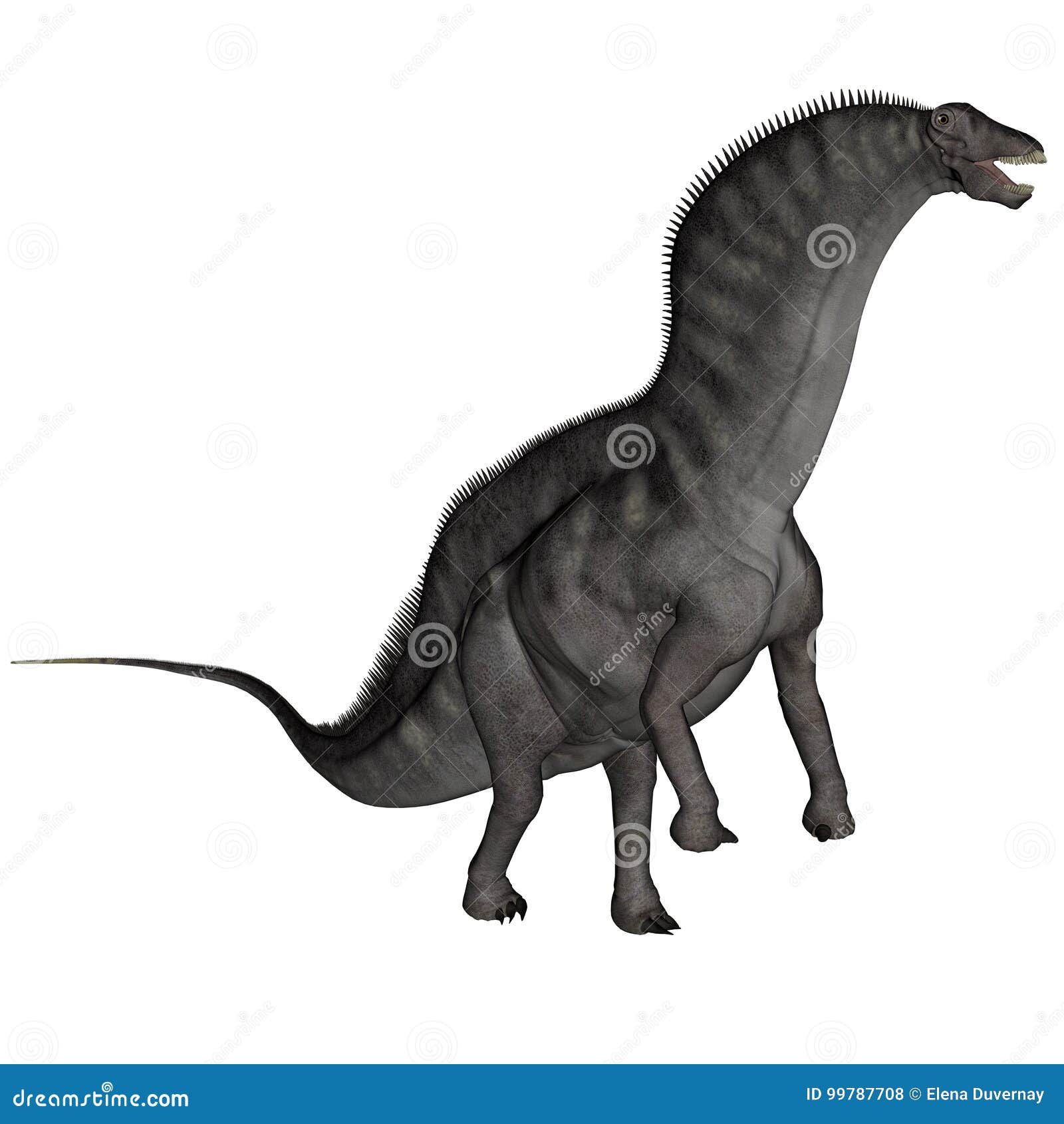 Amargasaurus Dinosaur Isolated Coloring Page Cartoon Vector ...