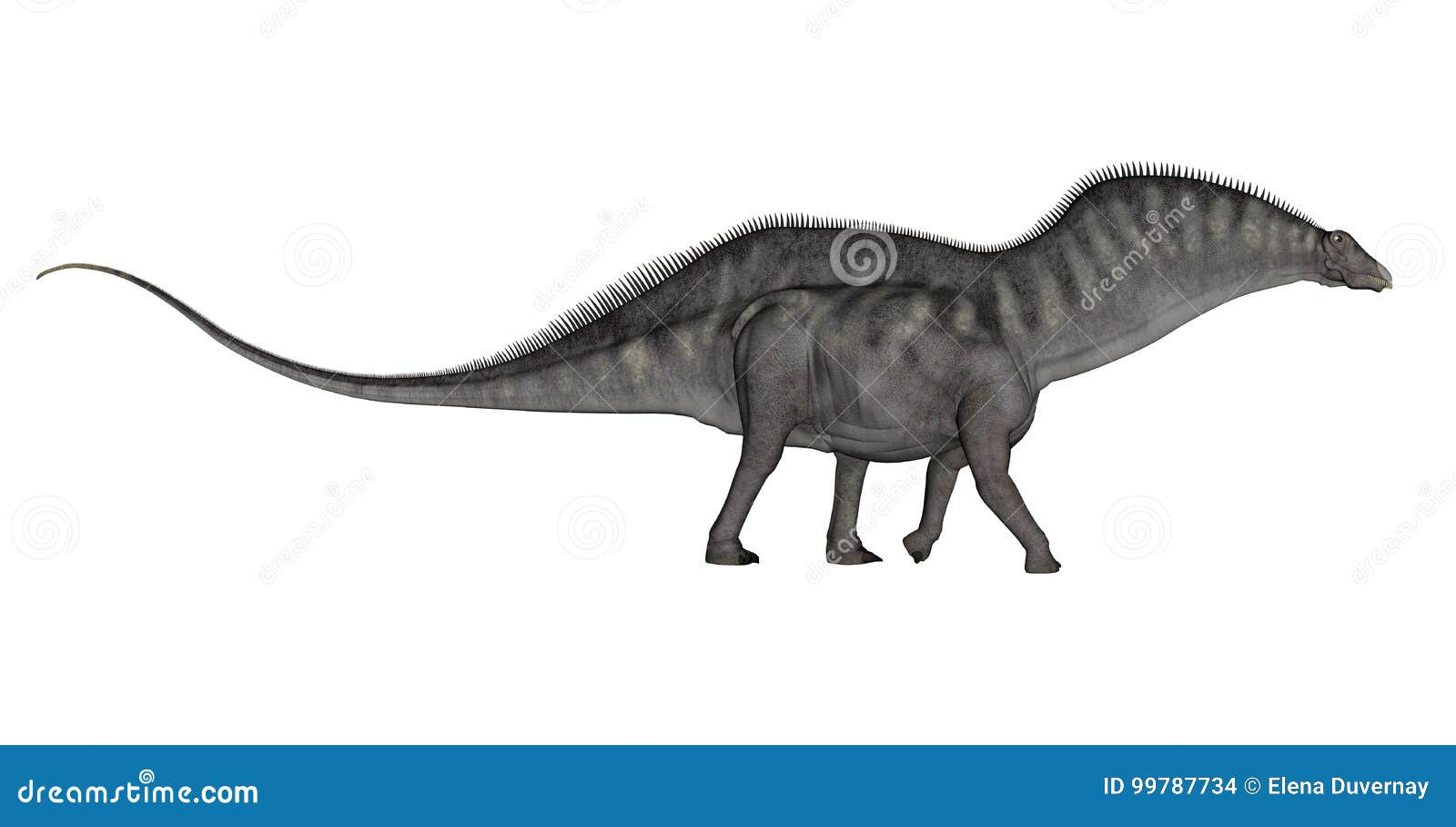 Amargasaurus Dinosaur Isolated Coloring Page Cartoon Vector ...