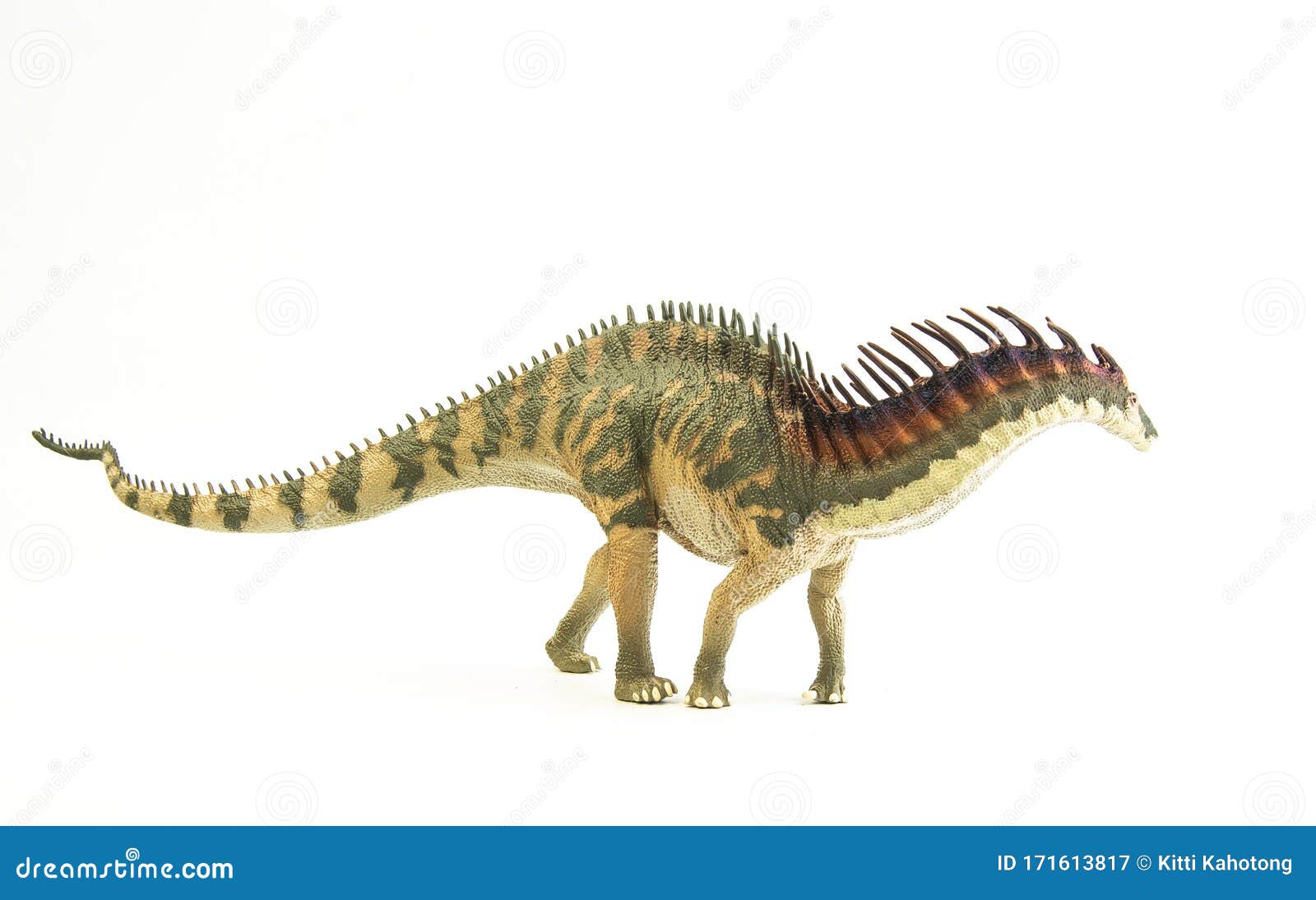 Amargasaurus Dinosaurs Stock Photo | CartoonDealer.com #80502672