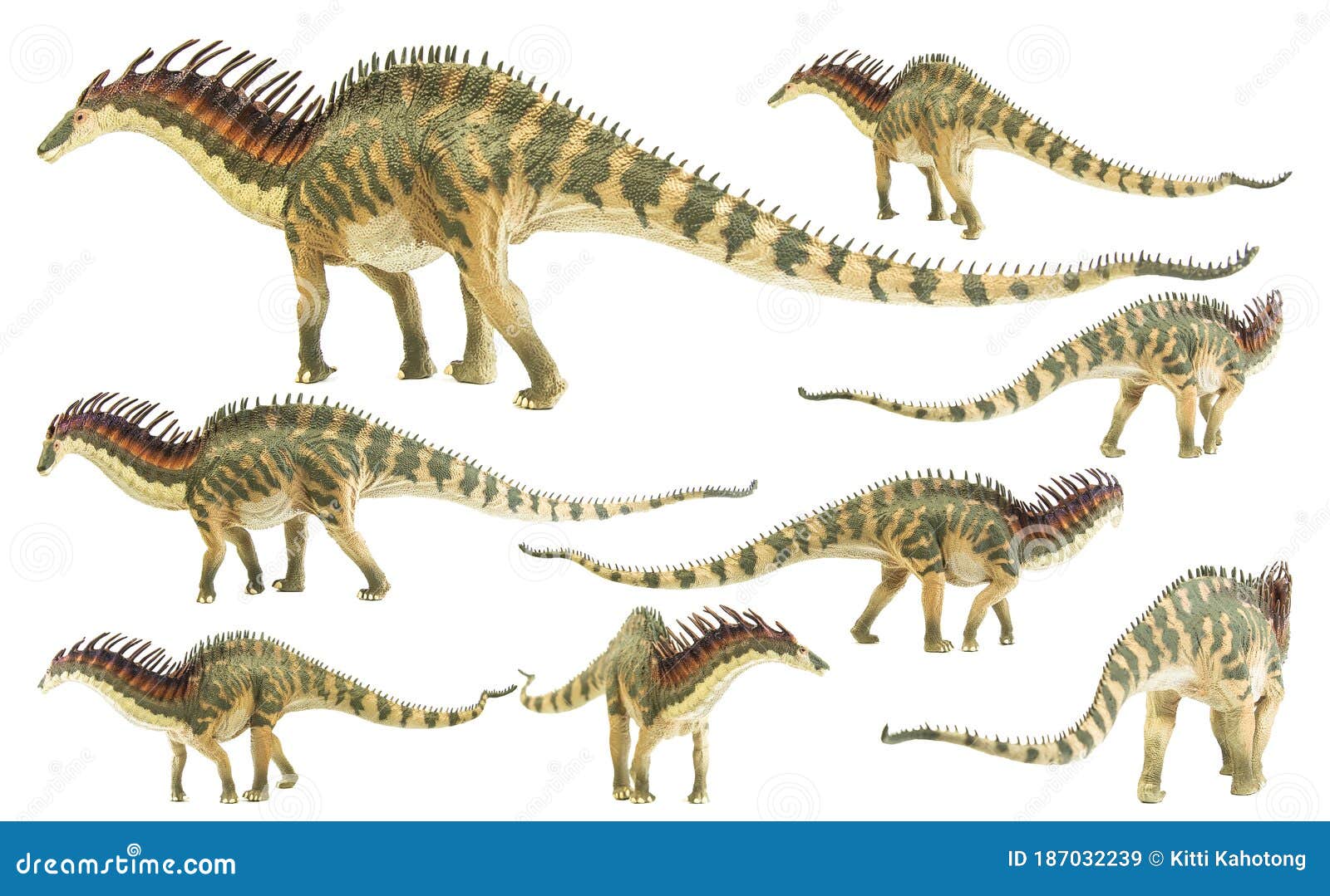 Amargasaurus Dinosaurs Stock Photo | CartoonDealer.com #80502672