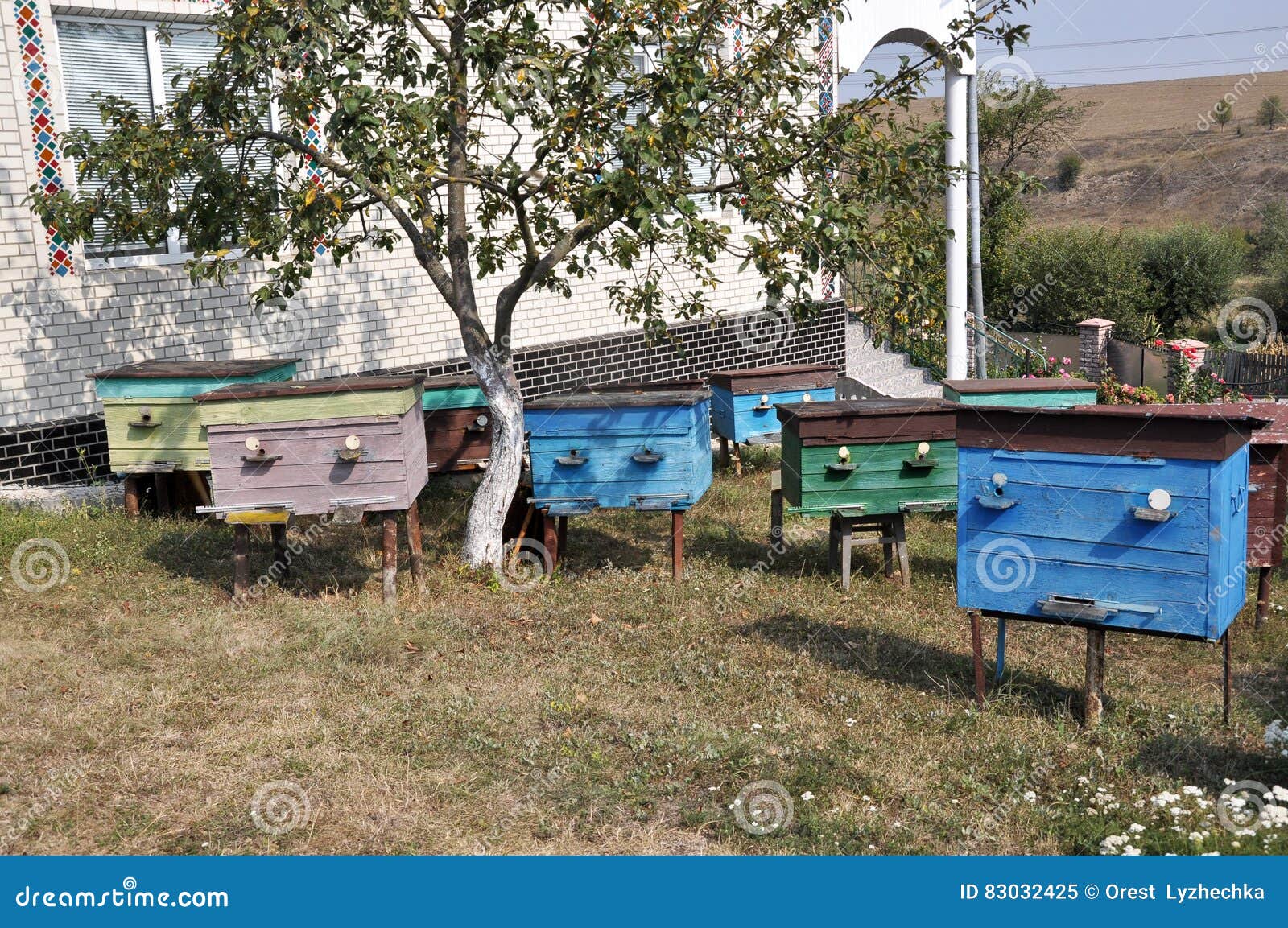 Amateur Apiary Near the House_2 Stock Illustration - Illustration of ...