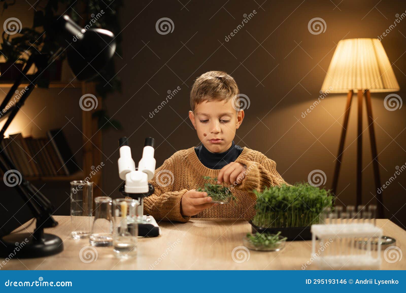 Amazed School Boy Doing Home Science Project, Looking on Plant. he Has ...