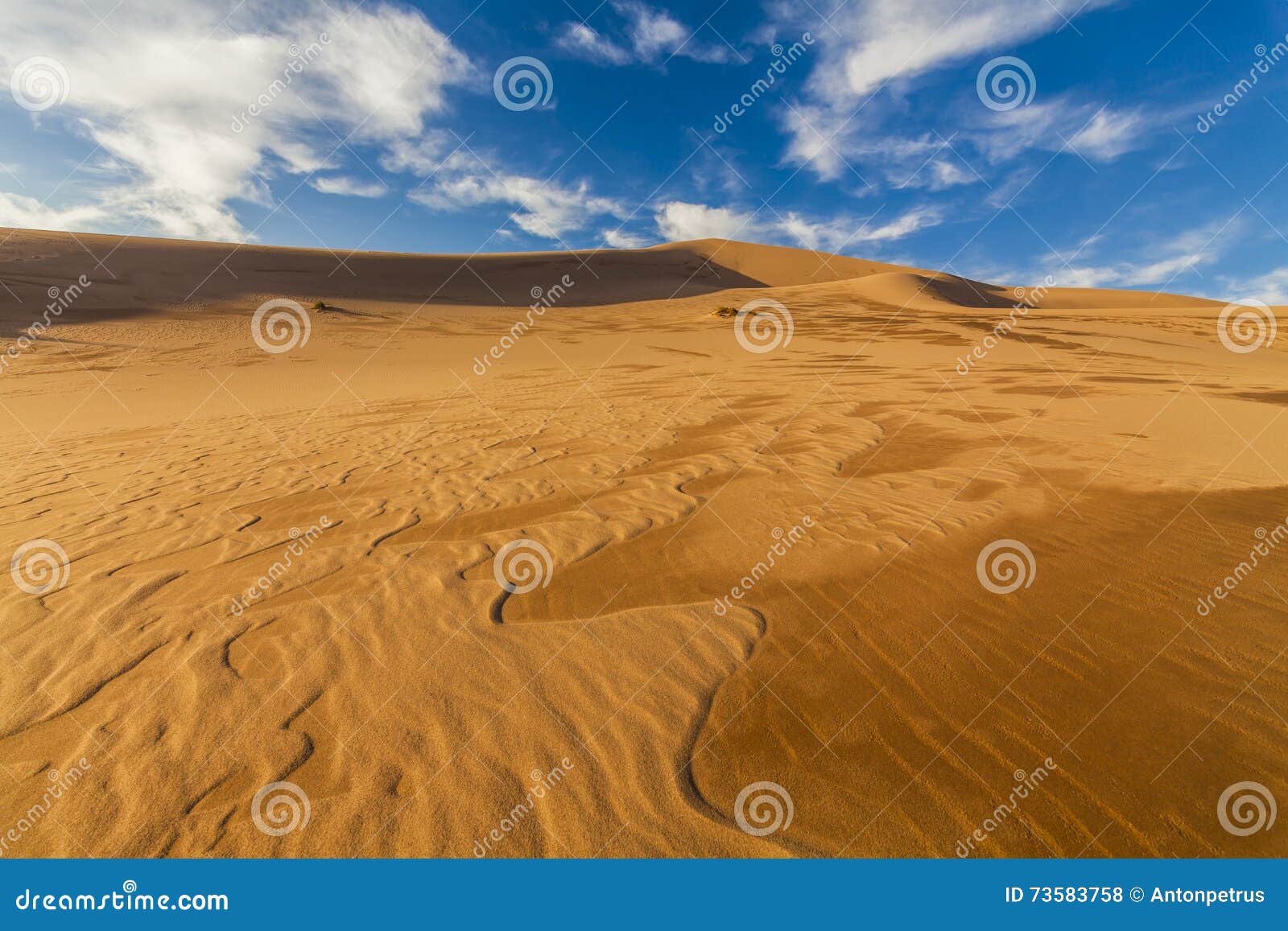 Amazing Abstract Patterns on the Sand of the Gobi Desert. Stock Photo ...