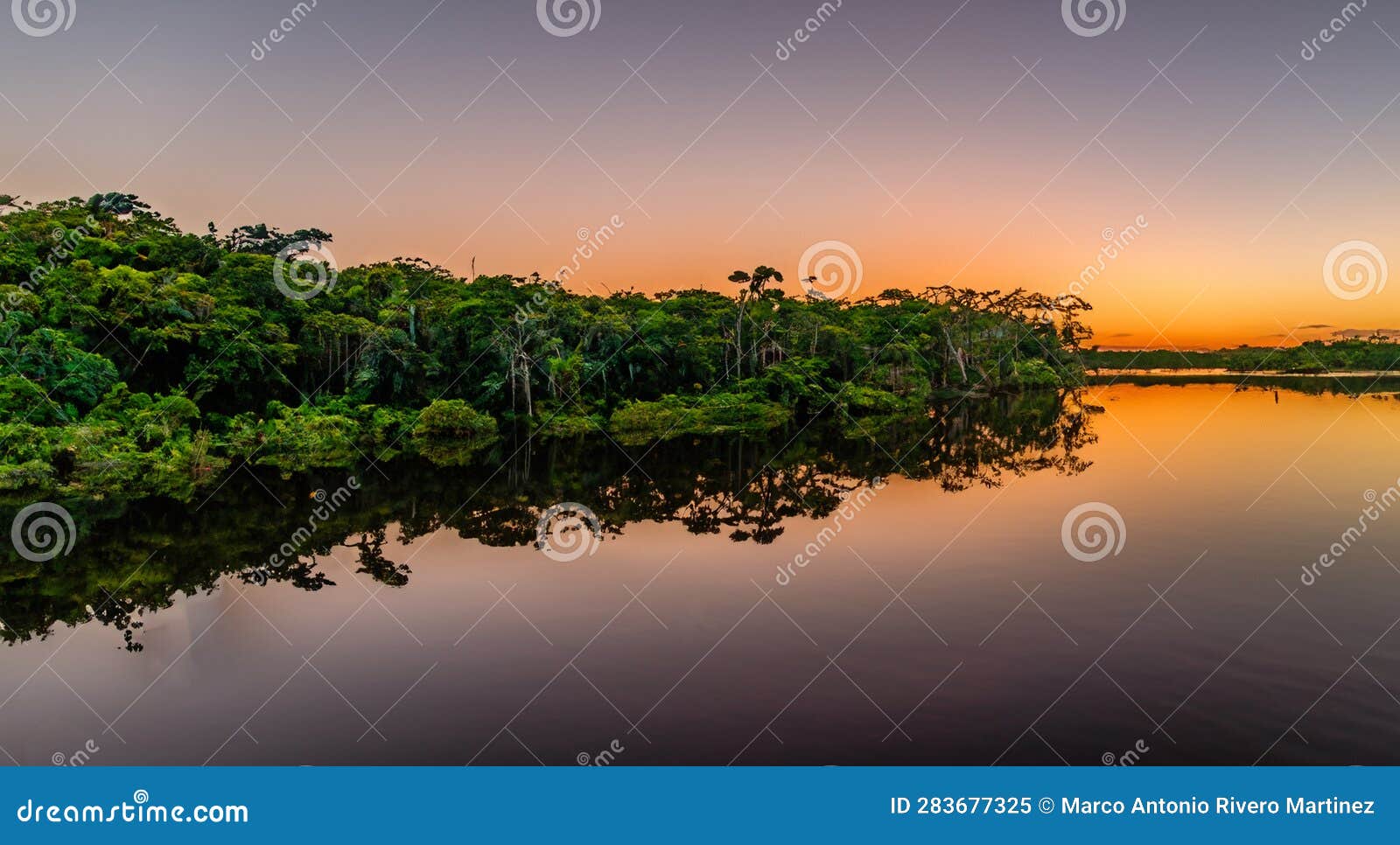 Amazing Amazon River with a Beautiful Sunset Stock Illustration ...