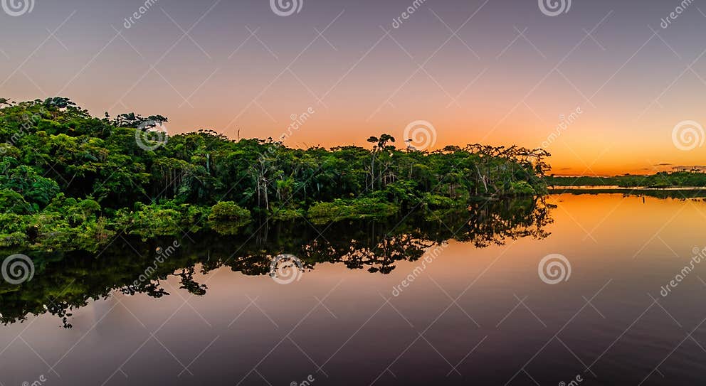 Amazing Amazon River with a Beautiful Sunset Stock Illustration ...