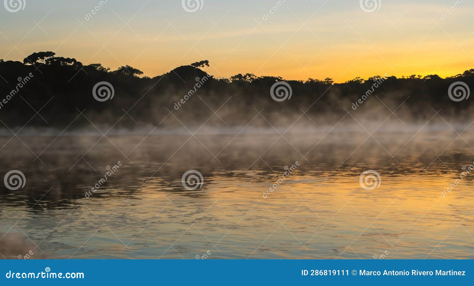 Amazing Amazon River with Mist in a Sunrise Stock Image - Image of ...
