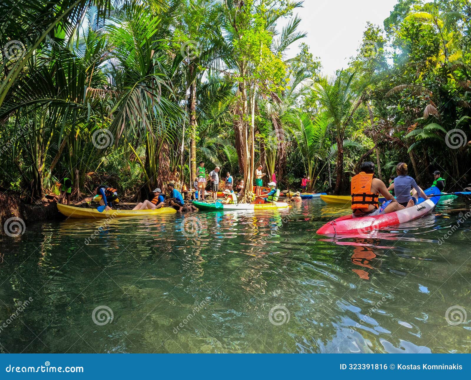 Kayaking at Klong root editorial photo. Image of root - 323391816