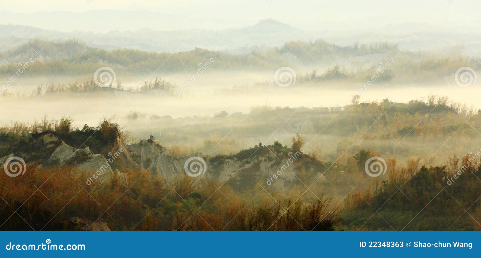 Amazing Beautiful Cloud and Mist with Bamboo Stock Image - Image of ...