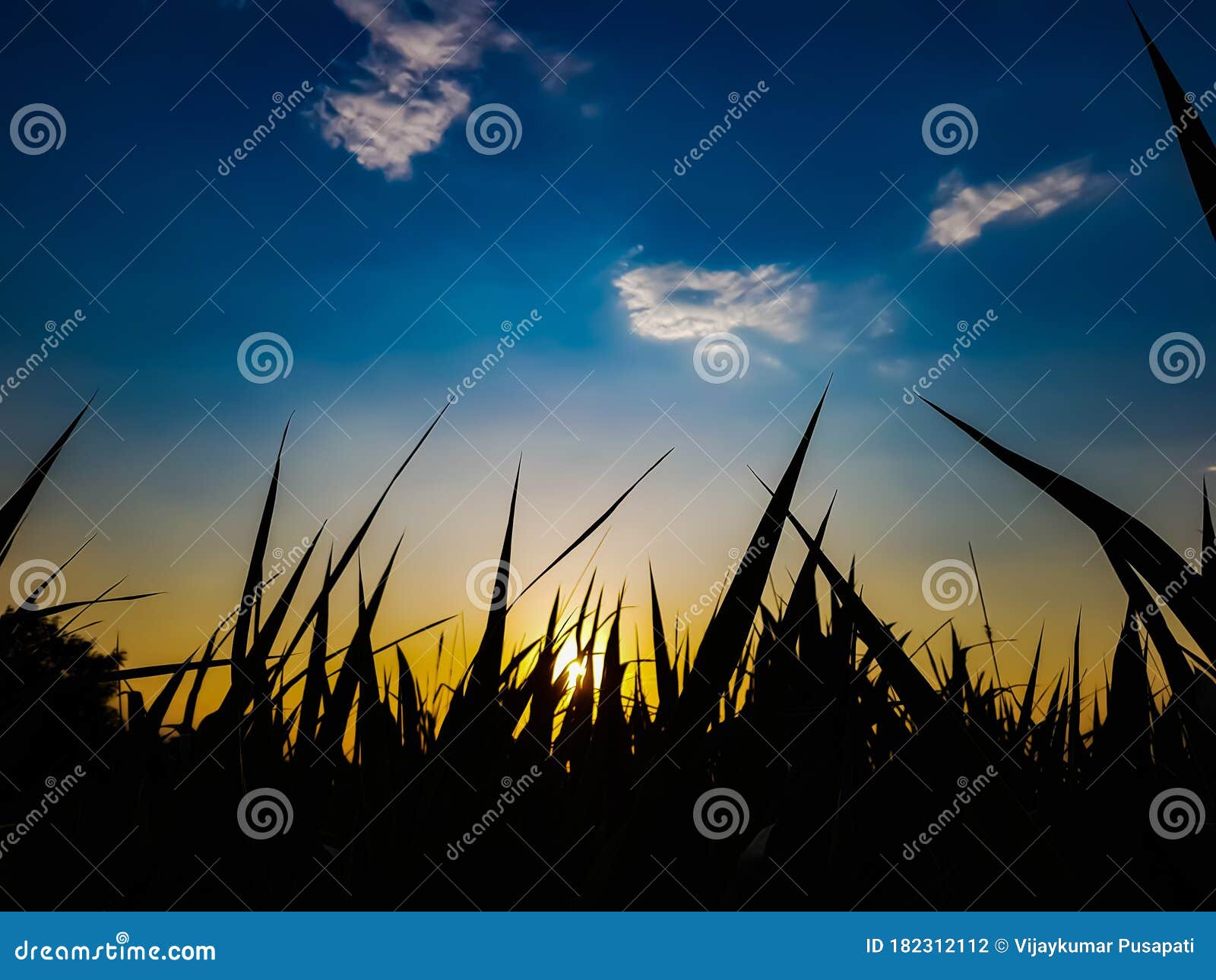 Amazing Beautiful Dramatic Field in Sunset Time for Background ...