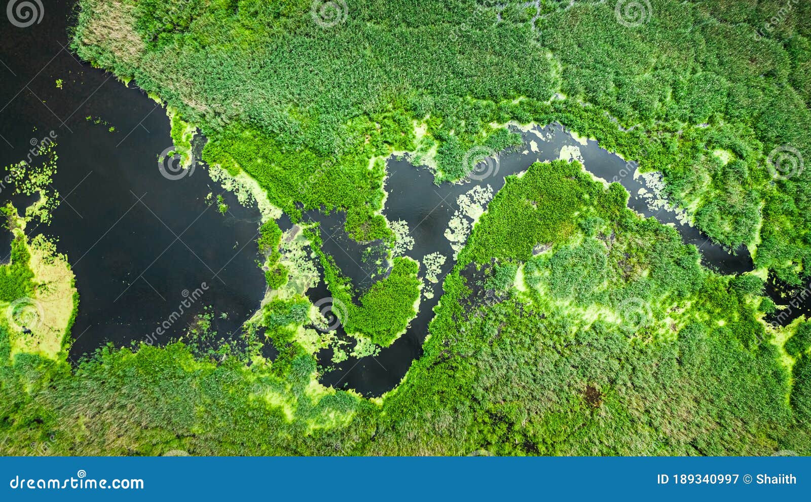 Amazing Blooming Algae on the River in Spring, Aerial View Stock Image ...