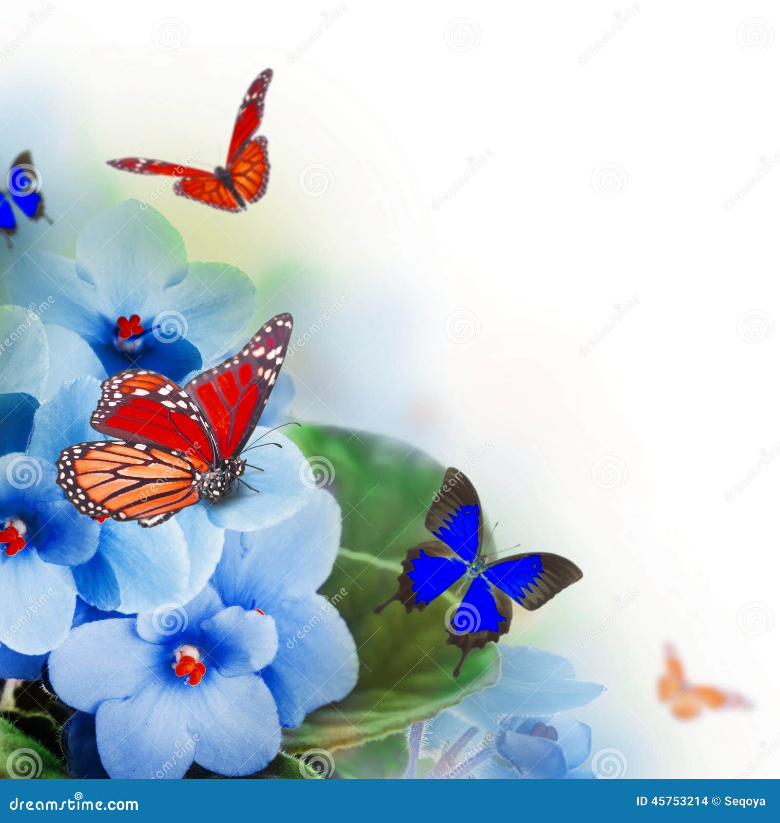 Amazing Bouquet of Spring Violets Stock Photo - Image of purple, nature ...