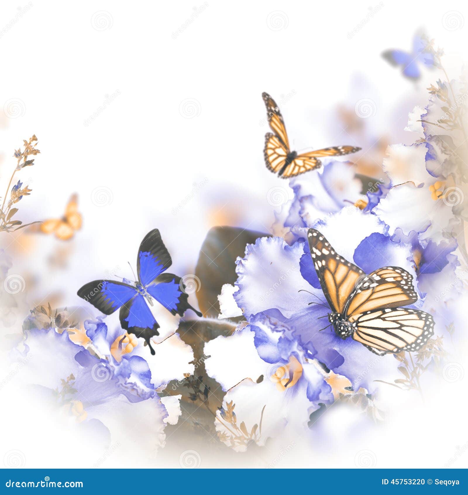 Amazing Bouquet of Spring Violets Stock Photo - Image of violets ...